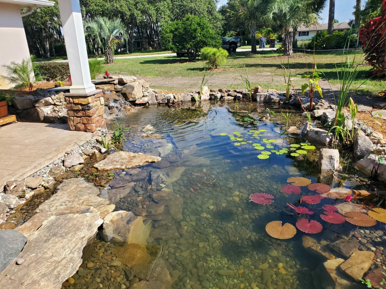 Fish-KOI Pond Installation | The Pond Monster